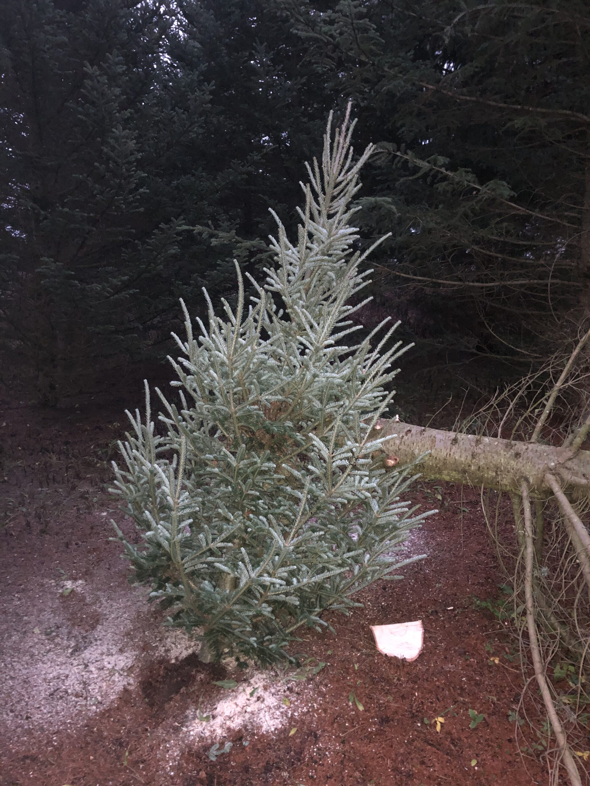 Jim and Erika Moore Family Blog – Stuff the Moores want people to know